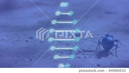 Image of dna strand spinning over bug-插圖素材 [84900032] - PIXTA圖庫