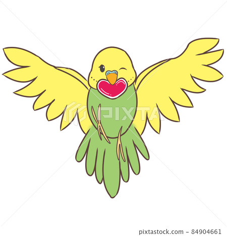 Parakeet with a heart - Stock Illustration [84904661] - PIXTA