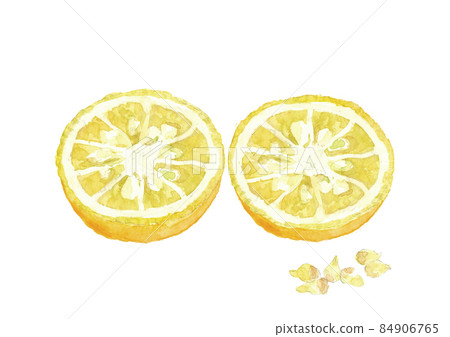 Cross section and seeds of Yuzu cut in two... - Stock Illustration ...