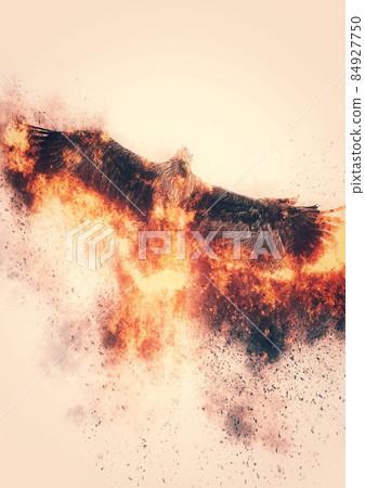 Illustration of flapping fire bird - Stock Illustration [84927750] - PIXTA