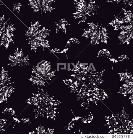 Silver Ink Print maple leaves and seeds on... - Stock Illustration ...
