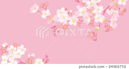 Cherry background illustration - Stock Illustration [84968758] - PIXTA