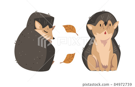Cute Spiny Hedgehog Mammal and Autumn Leaf... - Stock Illustration ...