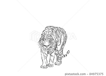 Front line drawing large horizontal - Stock Illustration [84975375] - PIXTA