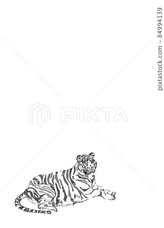 White tiger sitting line drawing large vertical - Stock Illustration ...