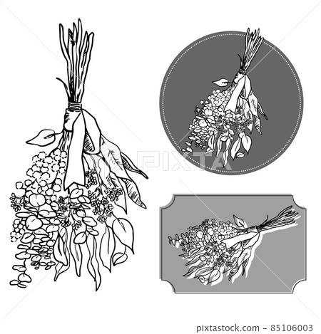 Fashionable dried flower icon illustration - Stock Illustration ...