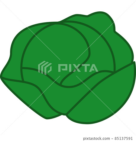Iceberg Lettuce Filled Outline Icon Vector - Stock Illustration ...