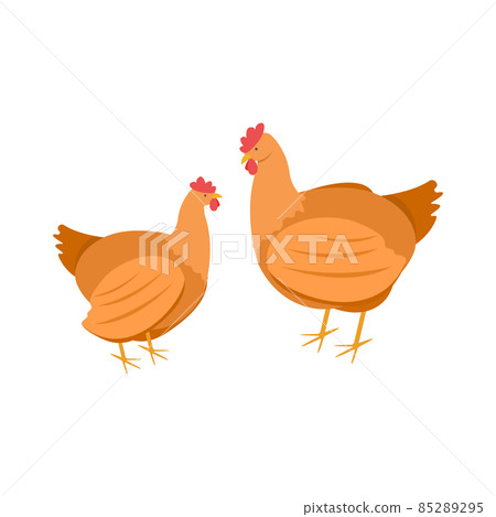 Isometric Chicken Countryside Composition - Stock Illustration ...