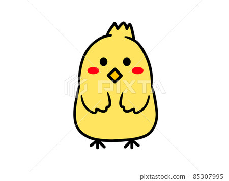 A chick facing the front - Stock Illustration [85307995] - PIXTA