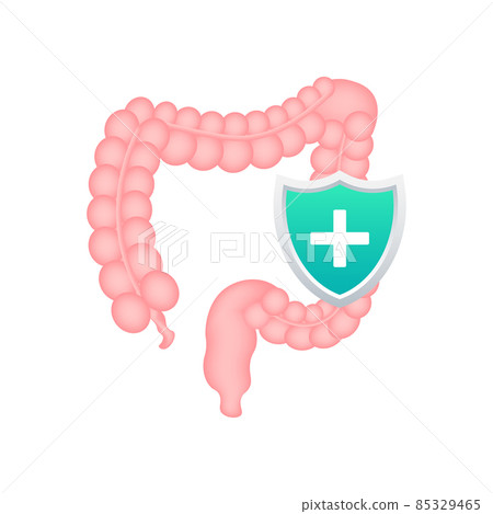 Intestines protection, Healthy protected... - Stock Illustration ...