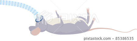 Cartoon rat or mouse with inhalation anesthesia-插圖素材 [85386535] - PIXTA圖庫