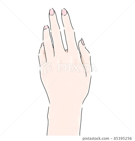 Handwritten illustration of the back of the hand - Stock Illustration ...