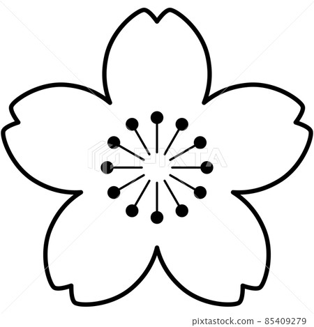 Sakura line drawing illustration - Stock Illustration [85409279] - PIXTA