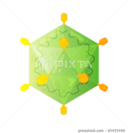 Tectiviridae Human Virus Composition - Stock Illustration [85435440 ...