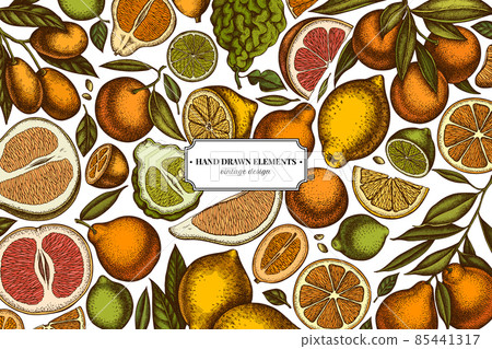 Citrus hand drawn illustration design.... - Stock Illustration ...