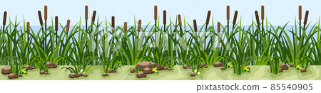 Reeds in grass, pond or lake water side. Lawn... - Stock Illustration ...