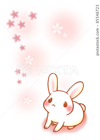 Cherry blossoms and rabbits - Stock Illustration [85548723] - PIXTA