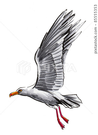 Flying seagull. Ink and watercolour drawing - Stock Illustration ...