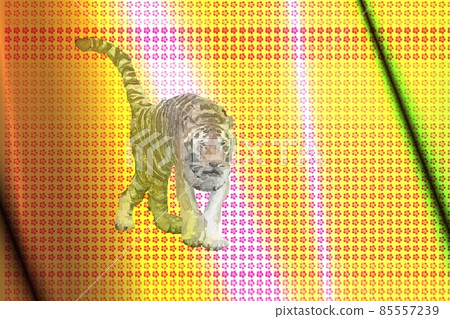 Sakura tiger and spring have arrived - Stock Illustration [85557239 ...