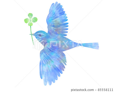 Birds and four-leaf clover, watercolor style,... - Stock Illustration ...