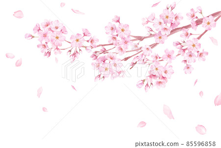 Spring flowers: Watercolor illustration of... - Stock Illustration ...