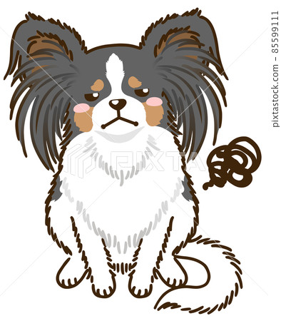 Dissatisfied papillon (tri-color) - Stock Illustration [85599111] - PIXTA