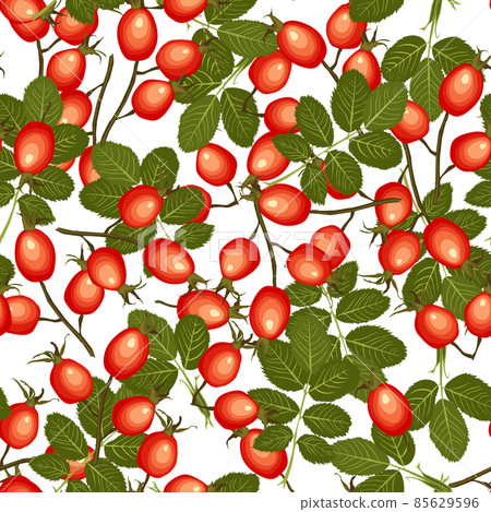 Wild rosehip vector seamless pattern - Stock Illustration [85629596 ...
