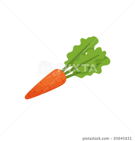 Carrot root cartoon icon or symbol flat vector... - Stock Illustration ...