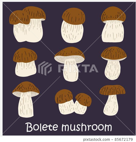 doodle freehand sketch drawing of bolete... - Stock Illustration ...
