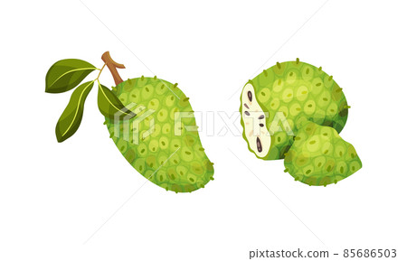 Guanabana tropical fruit set. Whole and cut... - Stock Illustration ...