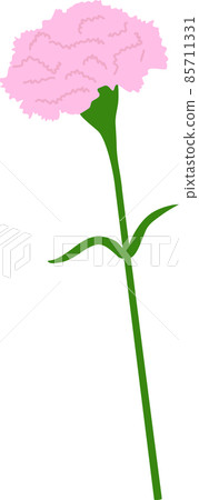 One simple pink carnation - Stock Illustration [85711331] - PIXTA