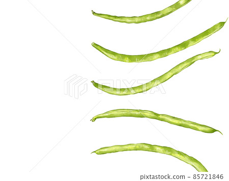 Hand-painted watercolor bean illustration... - Stock Illustration ...