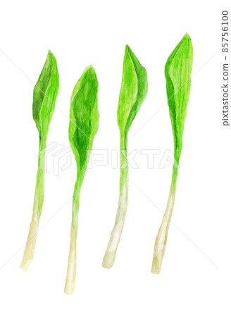 Urui's hand-painted watercolor illustration - Stock Illustration ...