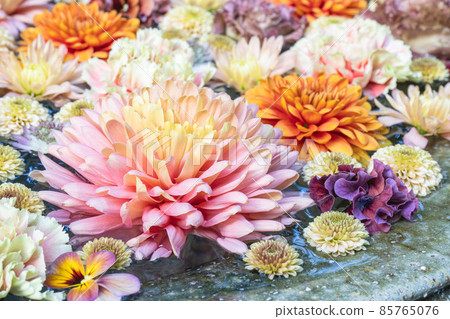 Warm flowers - Stock Photo [85765076] - PIXTA