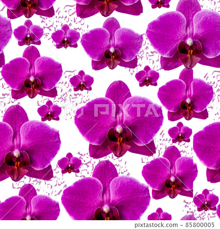 Bright pink orchid seamless pattern on white - Stock Illustration ...