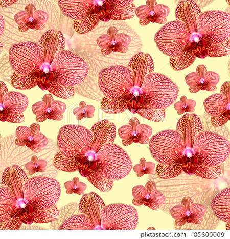 Pink orchid with red veins seamless pattern on... - Stock Illustration ...