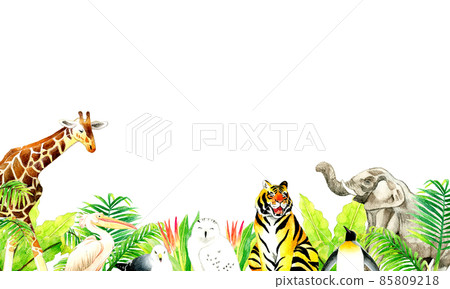 Background of zoo creatures and plants Hand... - Stock Illustration ...