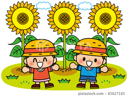 Kids enjoying sunflowers - Stock Illustration [85827185] - PIXTA