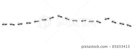 Ants marching in trail. Ant path isolated in... - Stock Illustration ...
