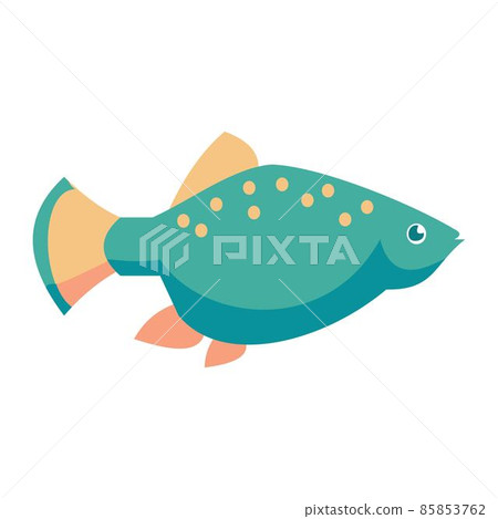 Aquarium mollies fish isolated on white... - Stock Illustration ...