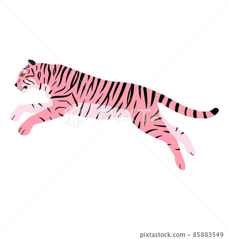 Vector flat hand drawn jumping pink tiger - Stock Illustration [85883549] - PIXTA