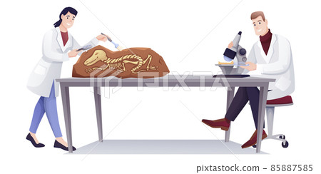 Paleontologists doing research with fossils in... - Stock Illustration ...