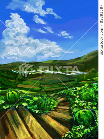 Watermelon field - Stock Illustration [85893597] - PIXTA