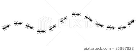 Ants marching in trail. Ant path isolated in... - Stock Illustration ...