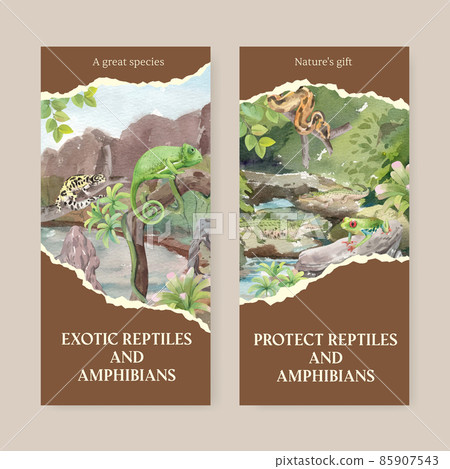 Flyer template with reptiles and amphibians... - Stock Illustration ...