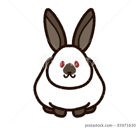 Cute rabbit Himalayan - Stock Illustration [85971630] - PIXTA