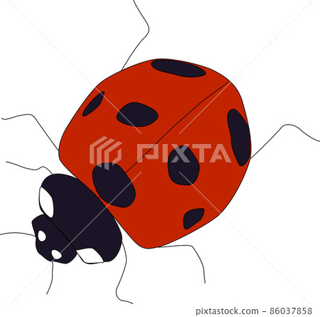 Illustration of a cute ladybugs seen from above - Stock Illustration ...