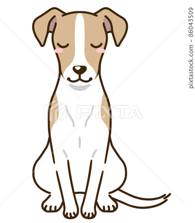 Bowing whippet (fawn white) - Stock Illustration [86043509] - PIXTA