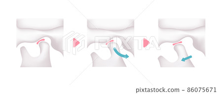Mechanism of normal jaw opening and closing... - Stock Illustration ...