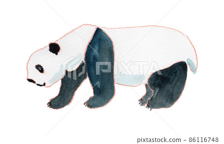 Watercolor illustration of a sideways panda - Stock Illustration ...
